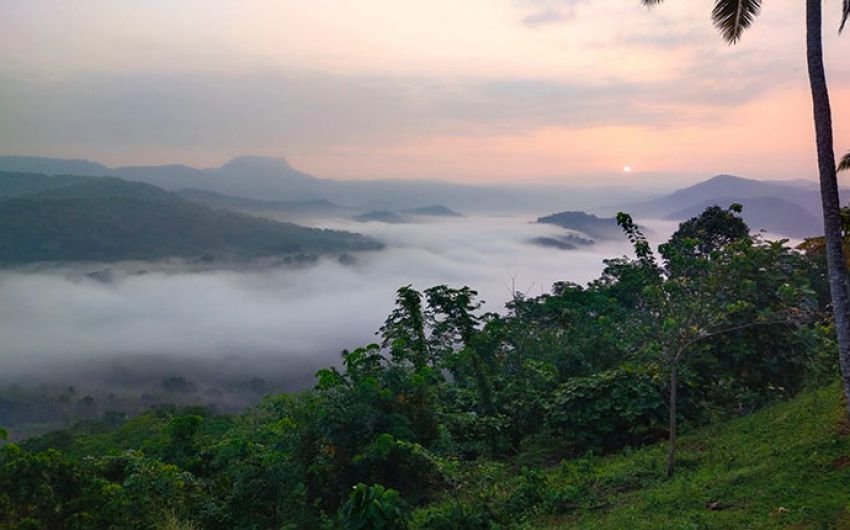 Pooyamkutty Heights | Pooyamkutty, Kuttampuzha - Eranakulam